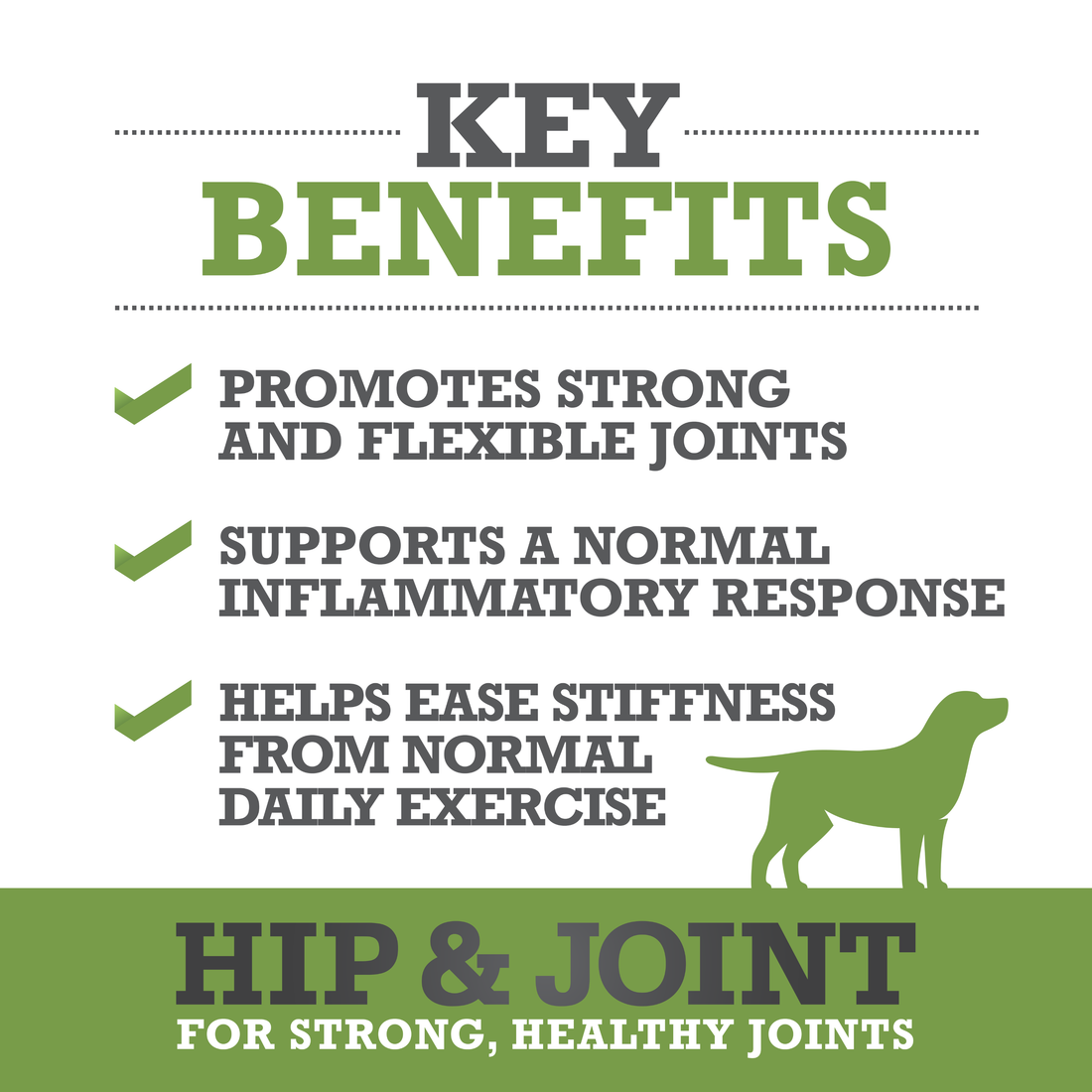 Dog Joint Supplements | Collagen For Dogs | WINPRO Pet