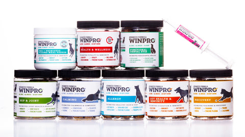 Dog Supplements | Supplements For Dogs | WINPRO Pet