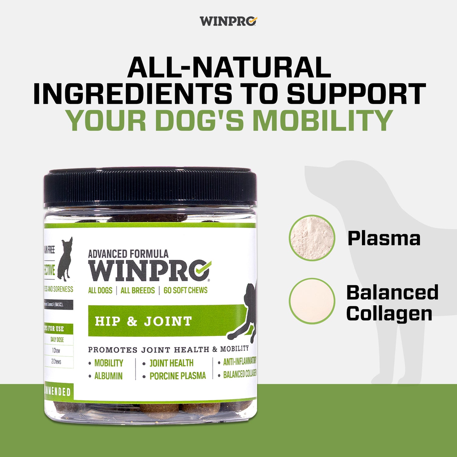 Dog Joint Supplements | Collagen For Dogs | WINPRO Pet