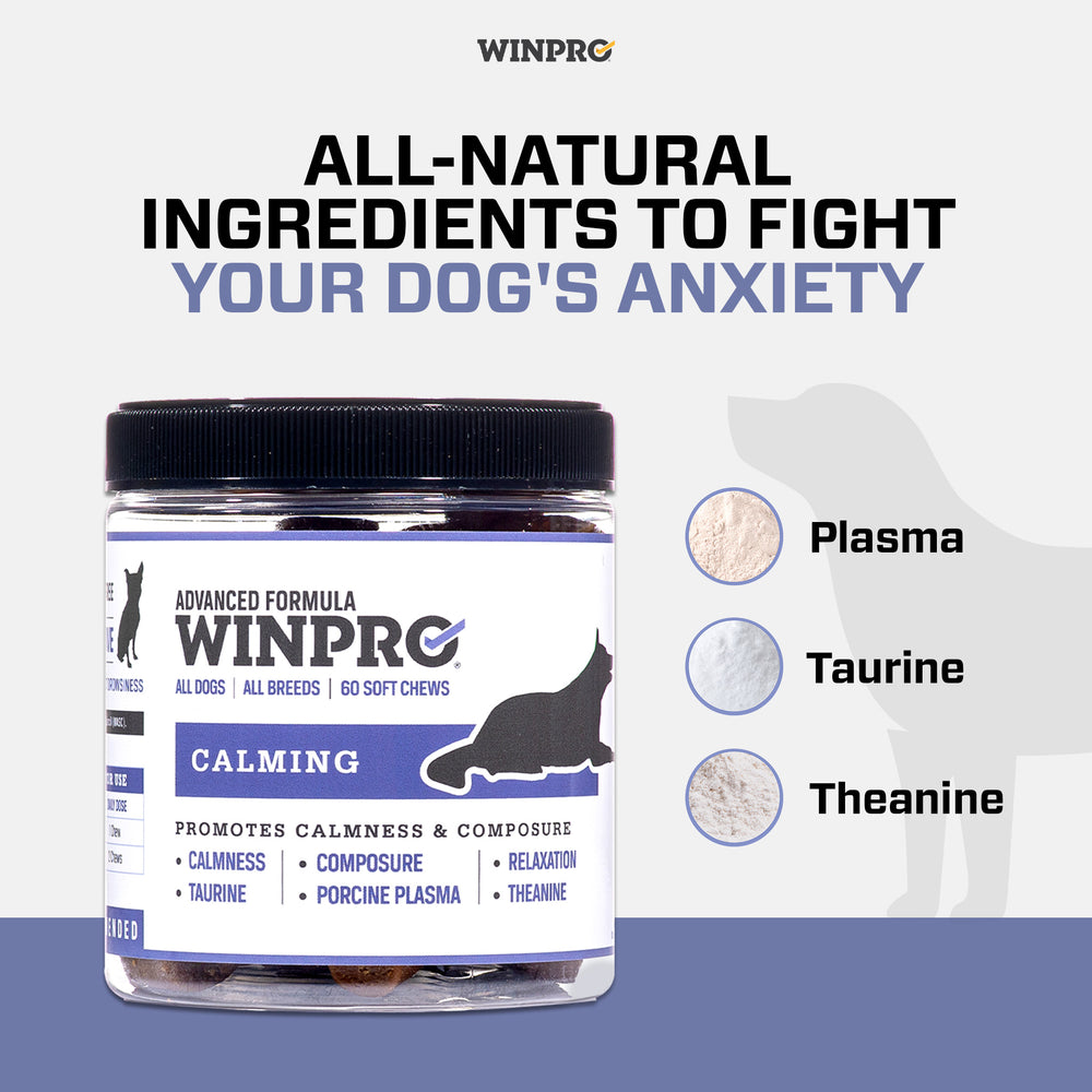 Calming Supplements For Dogs | Dog Calming Supplements | WINPRO Pet