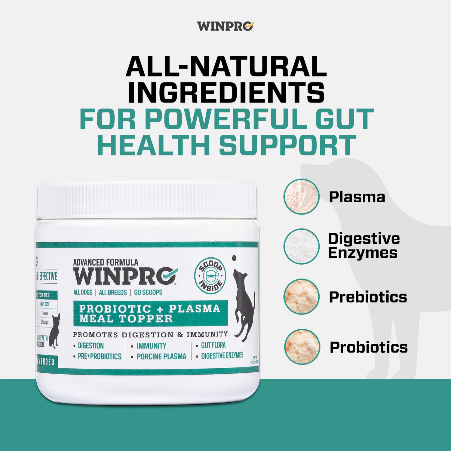 Gut Health Support For Dogs | Delicious Powder Form